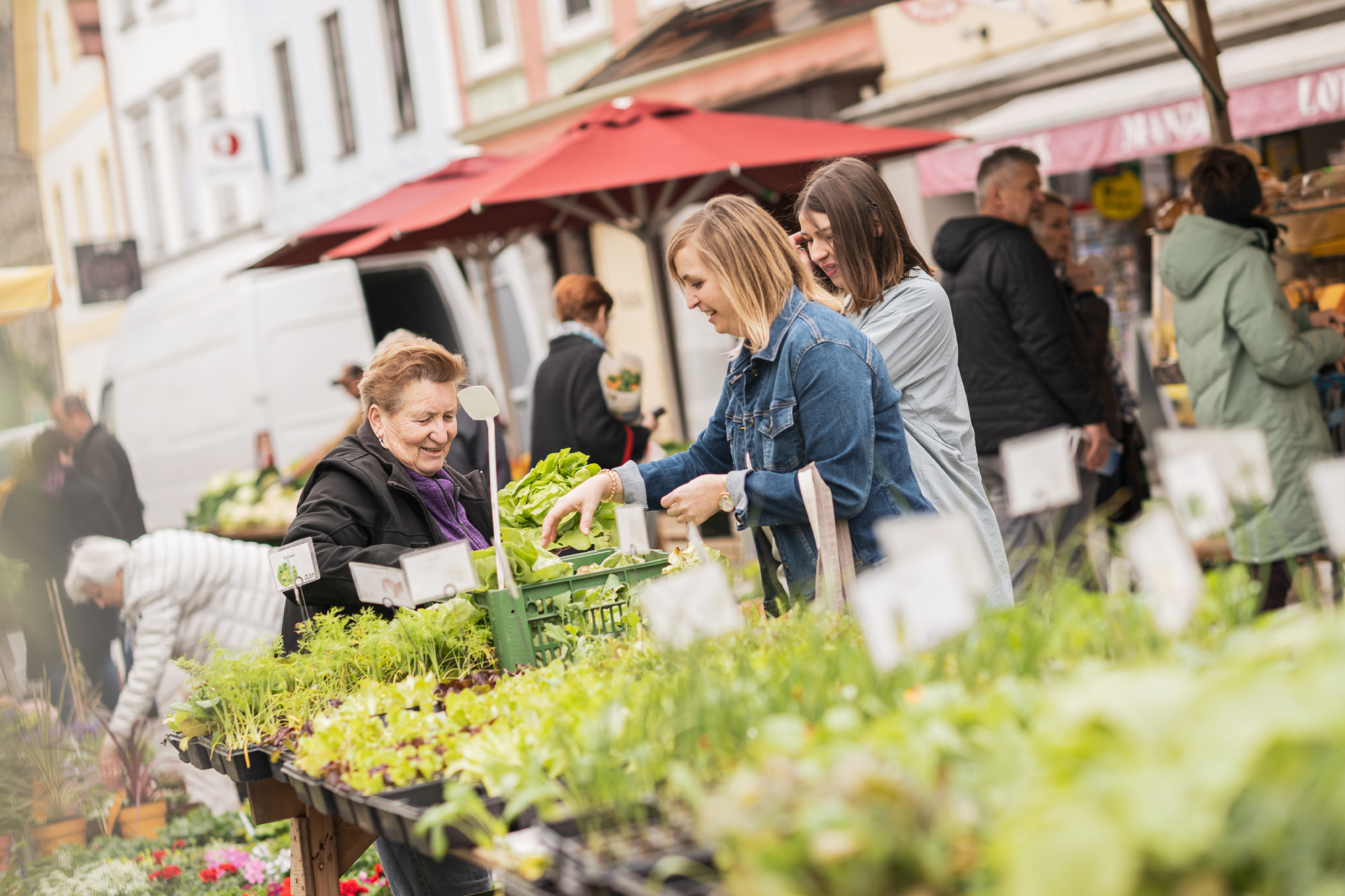 Wochenmarkt und Genussmarkt Waidhofen an der Ybbs - Mostviertler Märkte